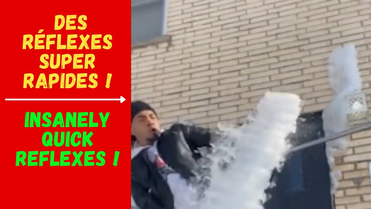Des réflexes incroyablement rapides ! / Insanely quick reflexes ! - YouTube