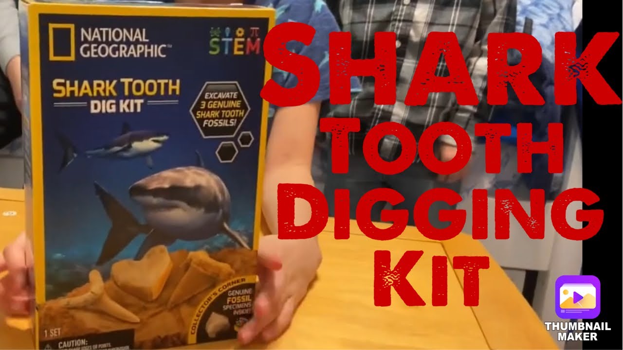 National Geographic Shark Tooth Digging Kit - YouTube
