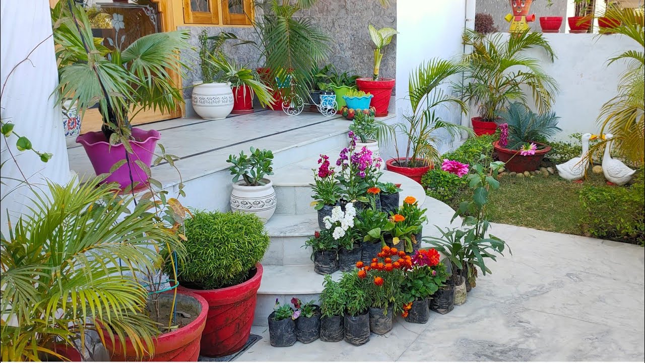 My mini winter garden overview with update// garden overview/ new plant ...