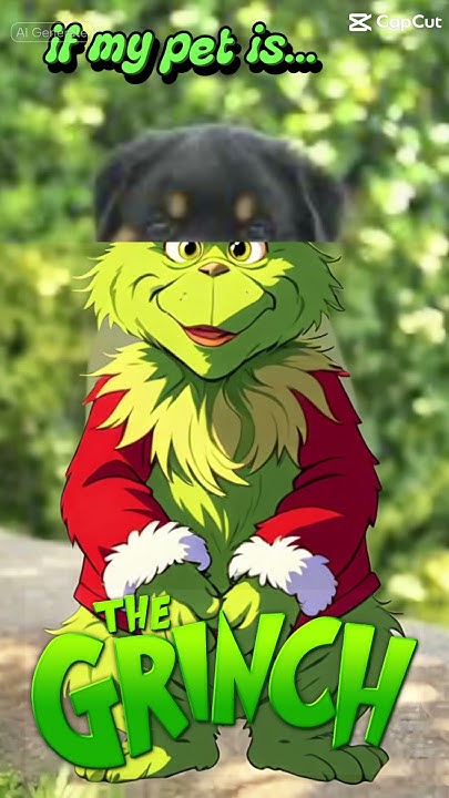 December 17, 2024 - YouTube