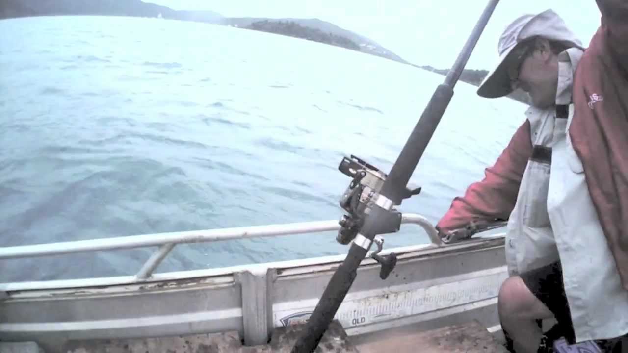 Whitsundays fishing in shute harbour - YouTube