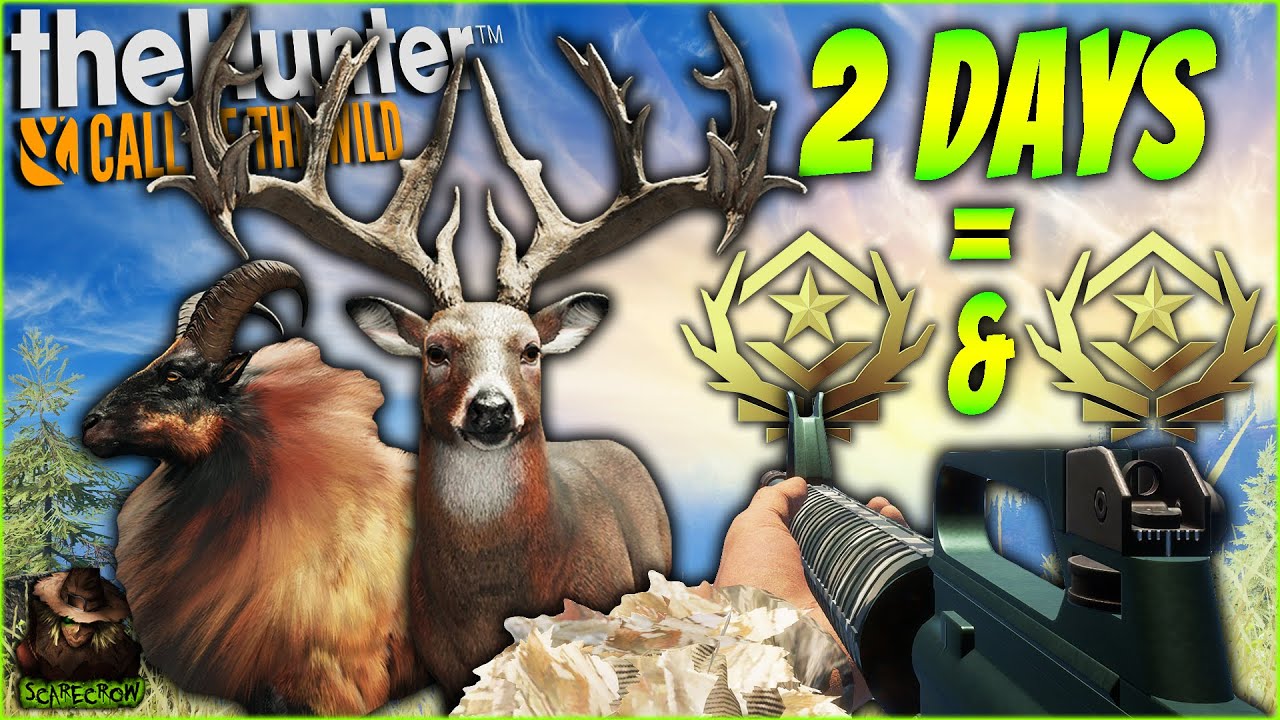 We Got 2 DIFFERENT Great Ones On BACK TO BACK Days! (Tahr & Whitetail ...