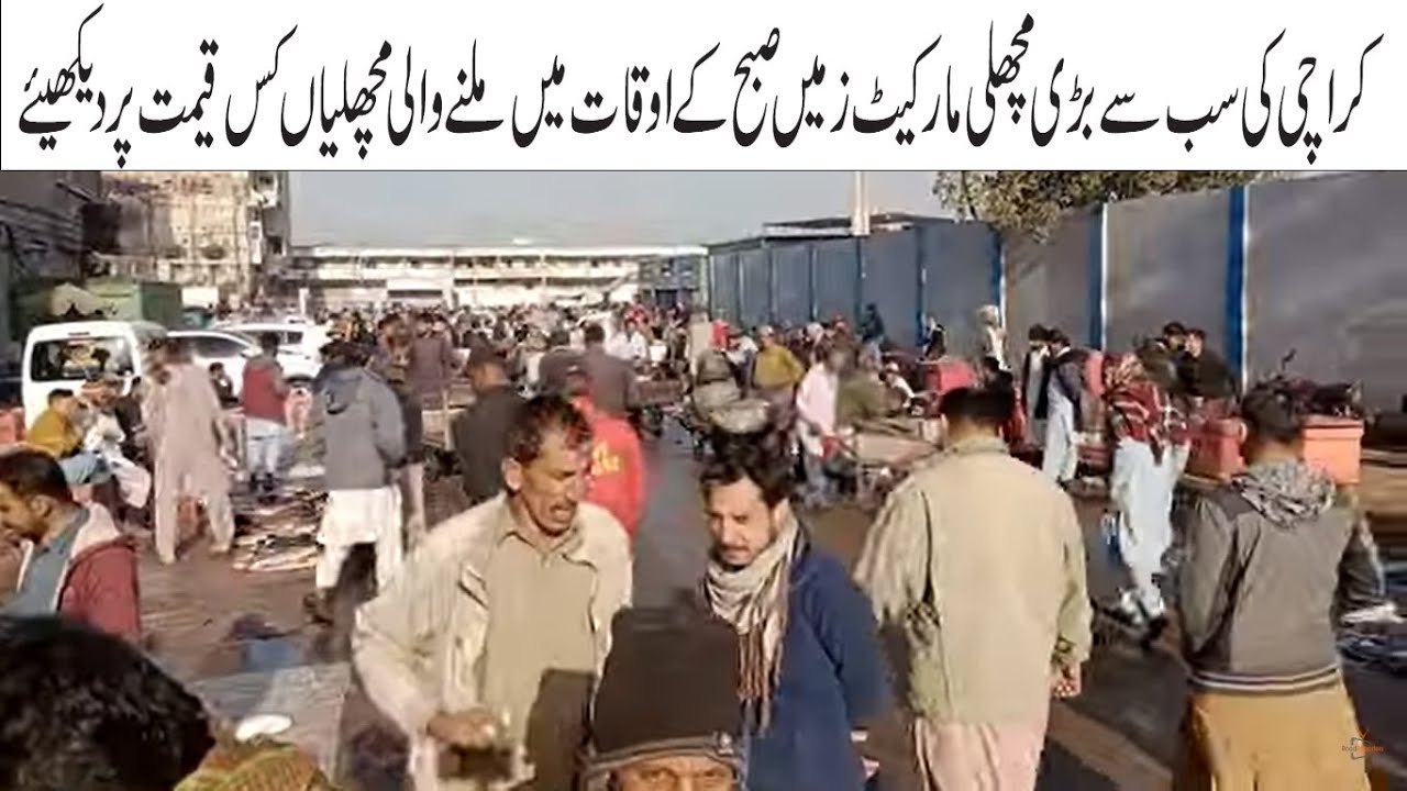 Biggest Fish Market Karachi Fishries | Karachi Fish Harbor | Sea Food ...