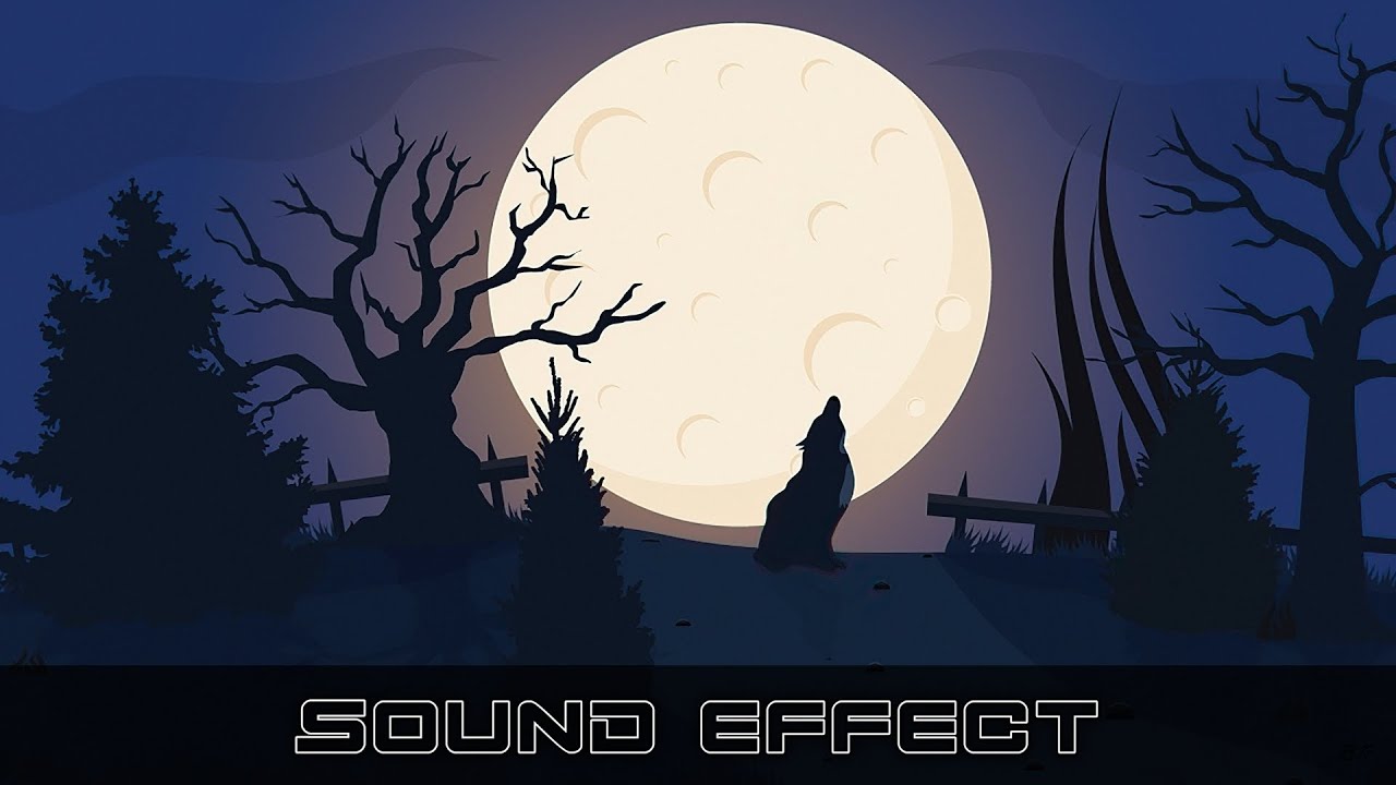 Wildlife | Coyotes Whimper | No Copyright Animals Sound Effects - YouTube