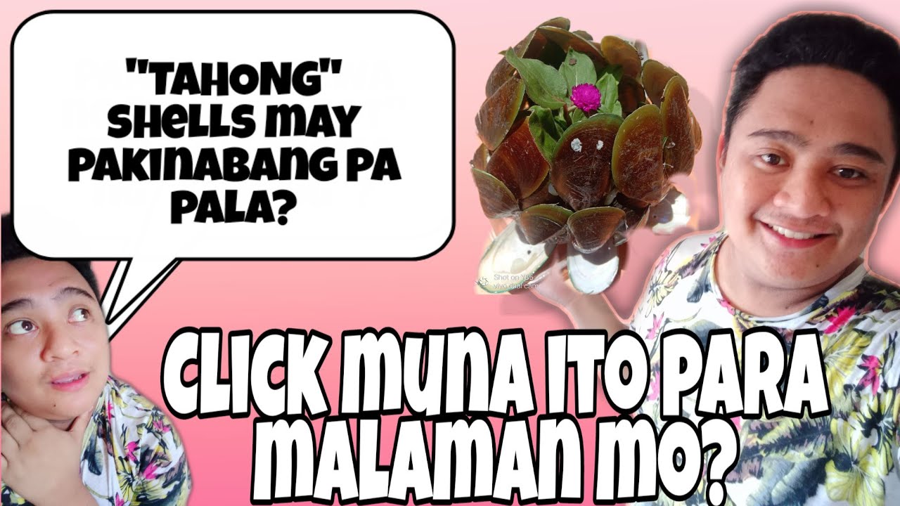 DIY: TAHONG!!! shells may pakinabang pa pala? Panoorin ang video na ito ...