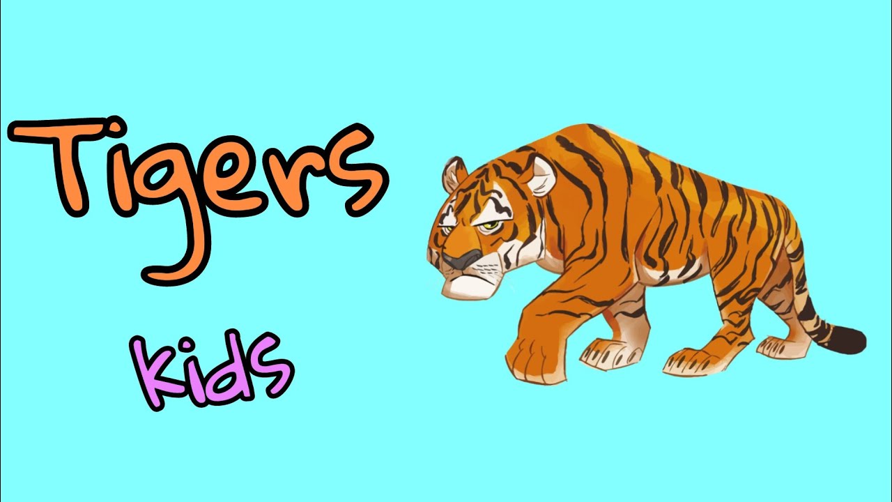 Tigers | For kids | - YouTube