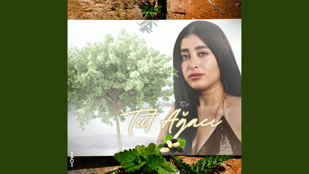 Tut Araji - YouTube