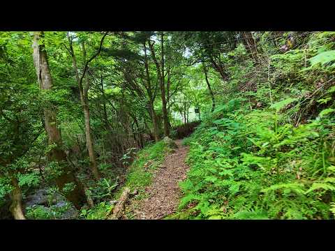 ASMR Nature Sounds 4K | Hidden Gorge Walk at Setogaro, Fukushima Japan