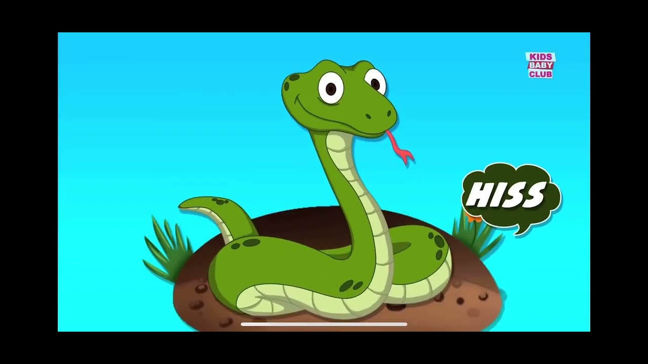 Animal sounds song EP30 the snake goes hiss hiss hiss hiss - YouTube