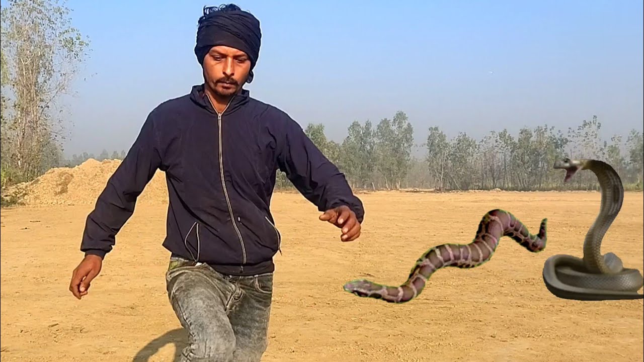 “Anaconda Snake Attack Real Life | Dangerous Snake Attack Video ...