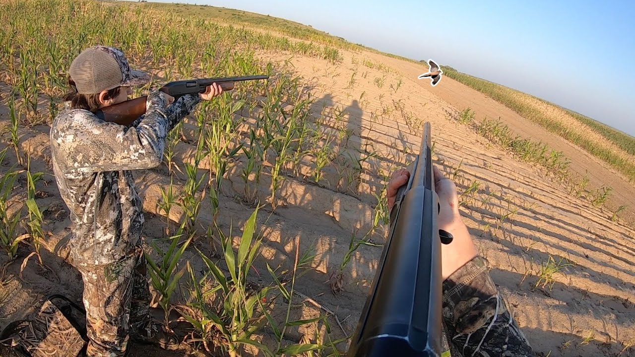 NEBRASKA DOVE HUNTING OPENING DAY!! (HAWK ATTACK) - YouTube