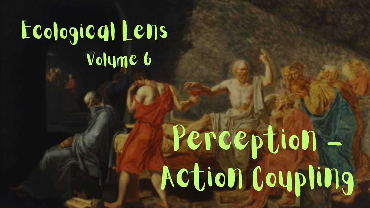 Ecological Lens Volume 6 - Perception Action Coupling - YouTube