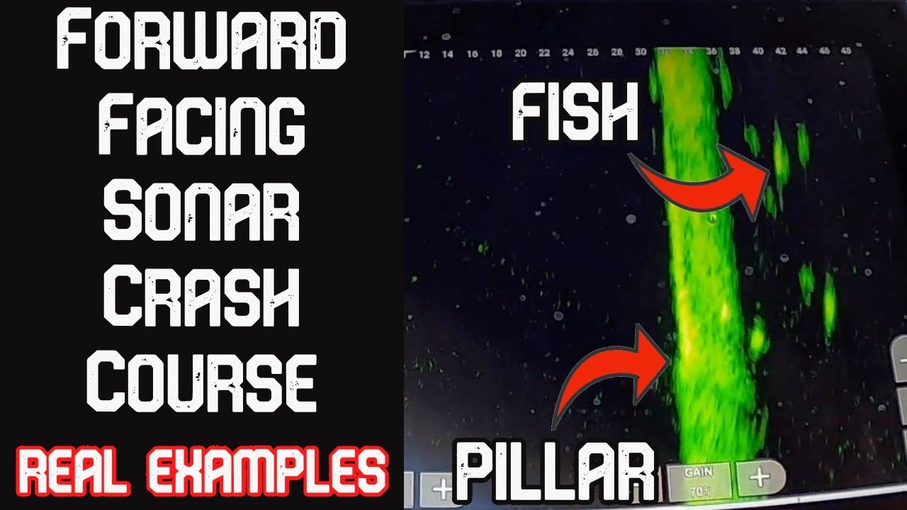 Forward Facing Sonar Explained | On The Water Examples | Electronics ...