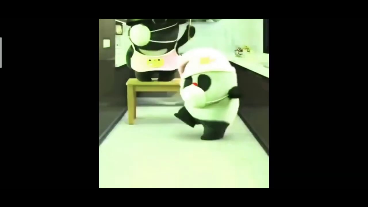 Cute panda dancing || panda dancing - YouTube