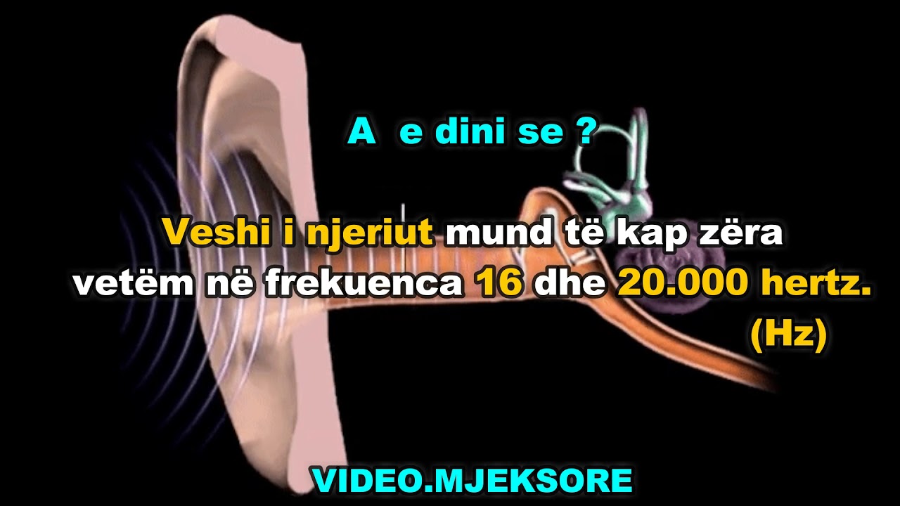 Frekuenca e Dëgjimit të Zërit nga Njeriu - YouTube