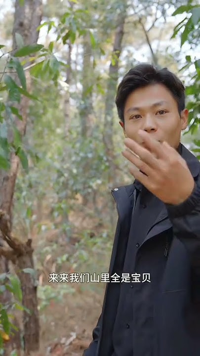 在森林里,我被蜜蜂蜇了,好痛 Camping Food Foryou Funny Trending Viral Youtube