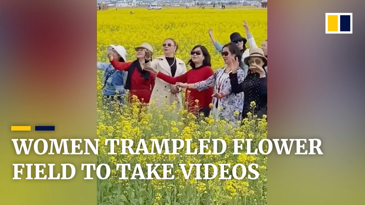 Women trampled flower field to take videos in China, to the owner’s ...