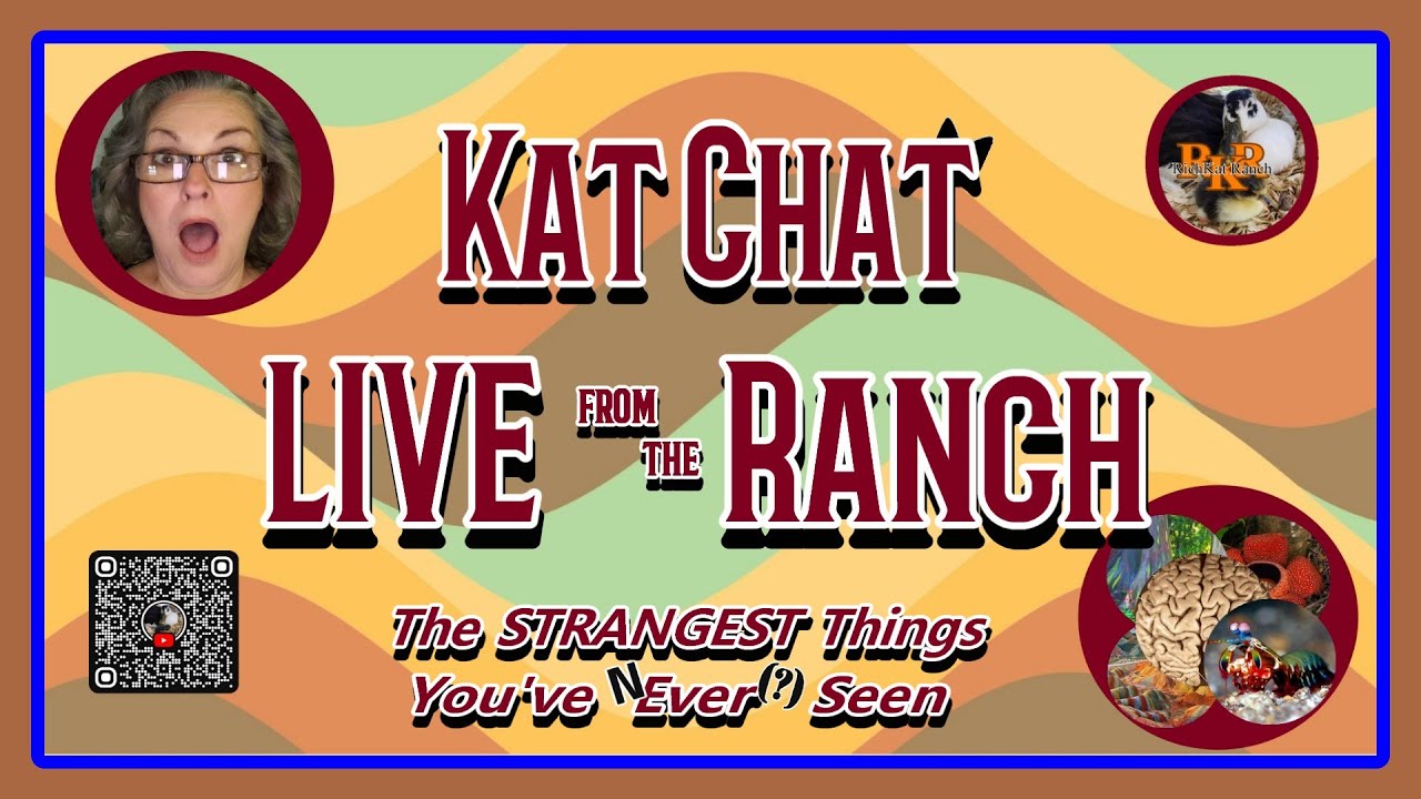 Kat Chat LIVE April 4, 2025 - Weird & Amazing STUFF on Earth & BEYOND ...
