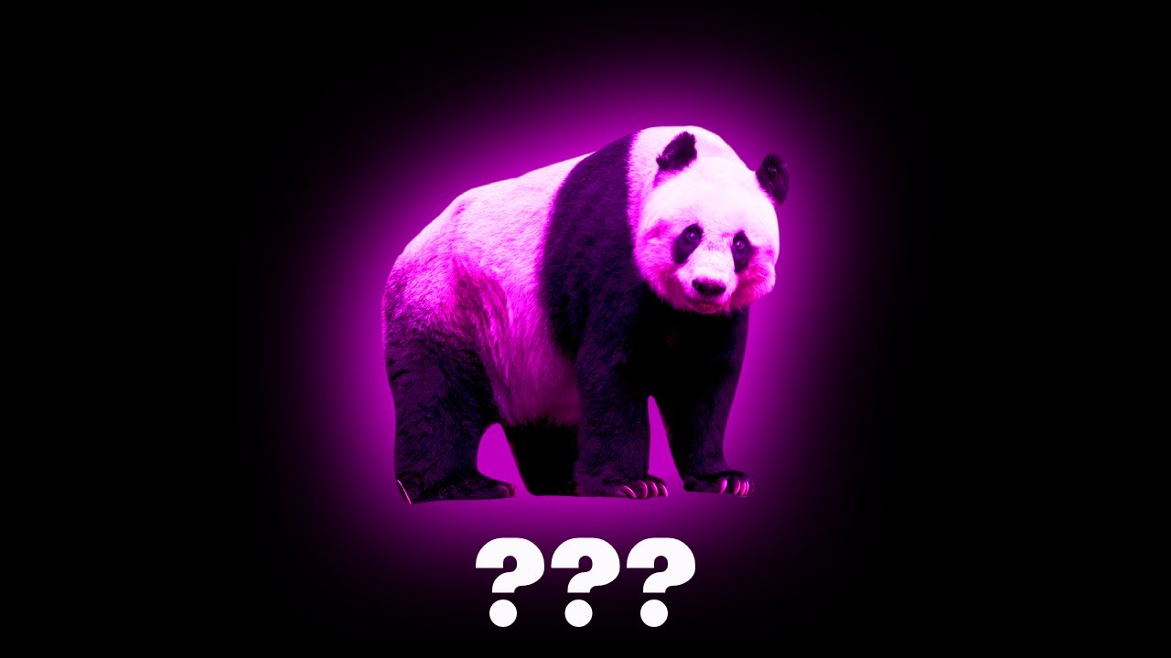 13 "Panda" Sound Variations in 35 Seconds I Ayieeeks Animations - YouTube