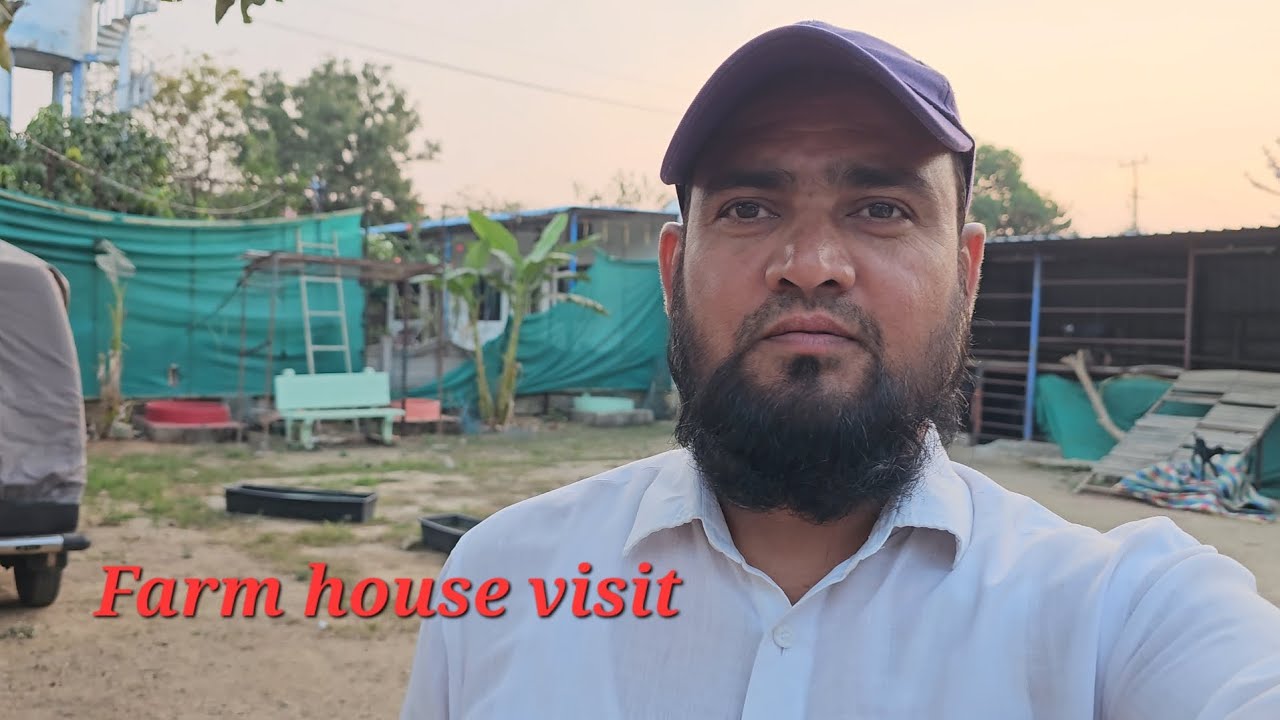 A day at the Farm House and Rice Mill || aj farm aur rice mill ku gaye ...