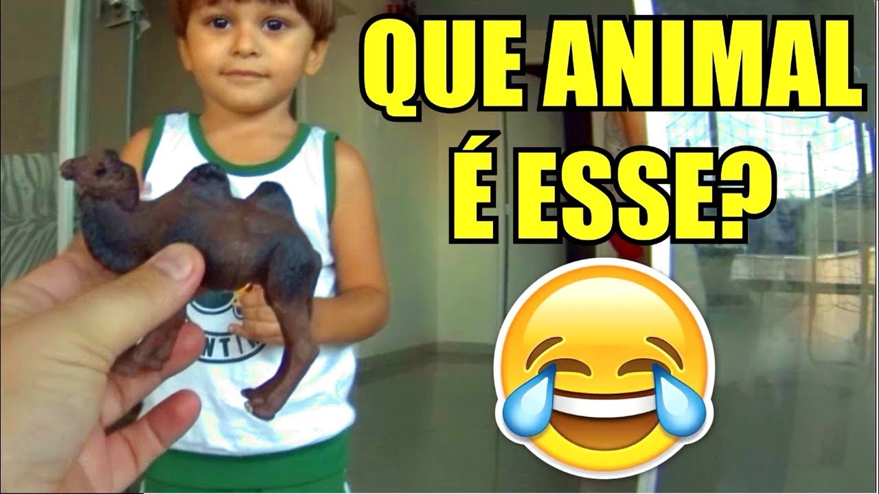BEBÊ MIGUEL APRENDEU OS ANIMAIS! - VDC #401 - YouTube