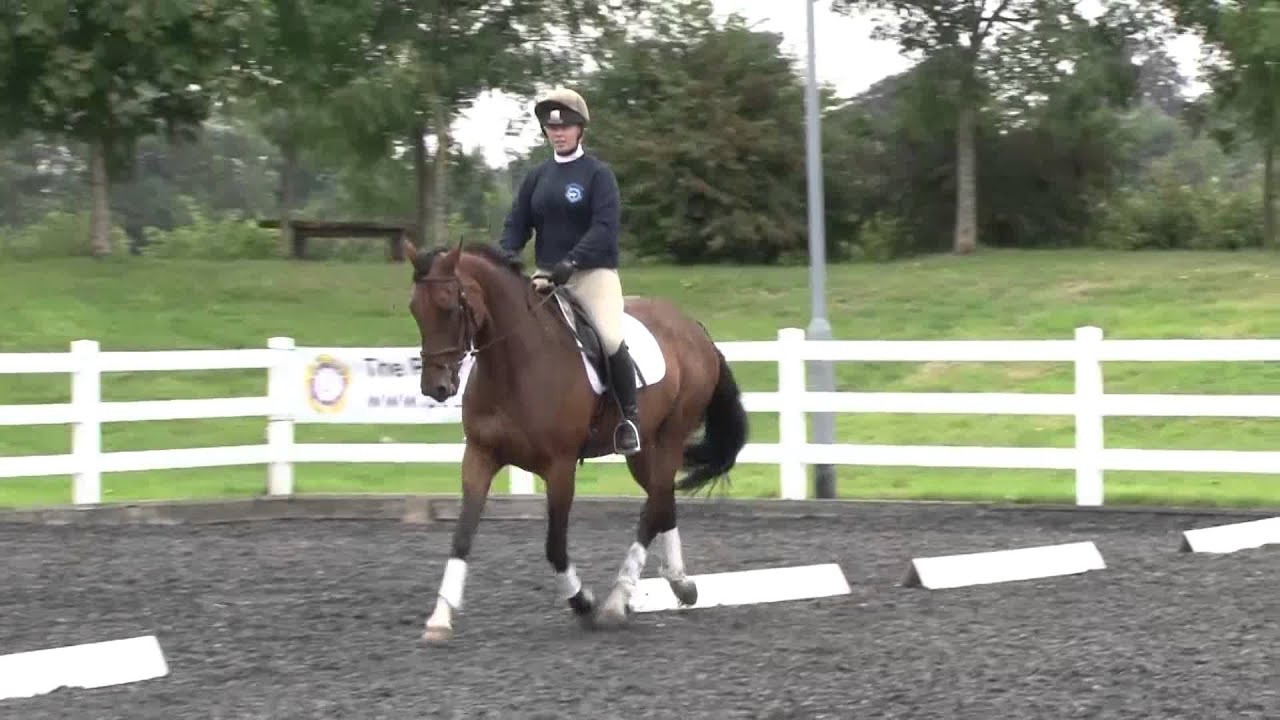 Riding Lengthened Strides in Trot - YouTube