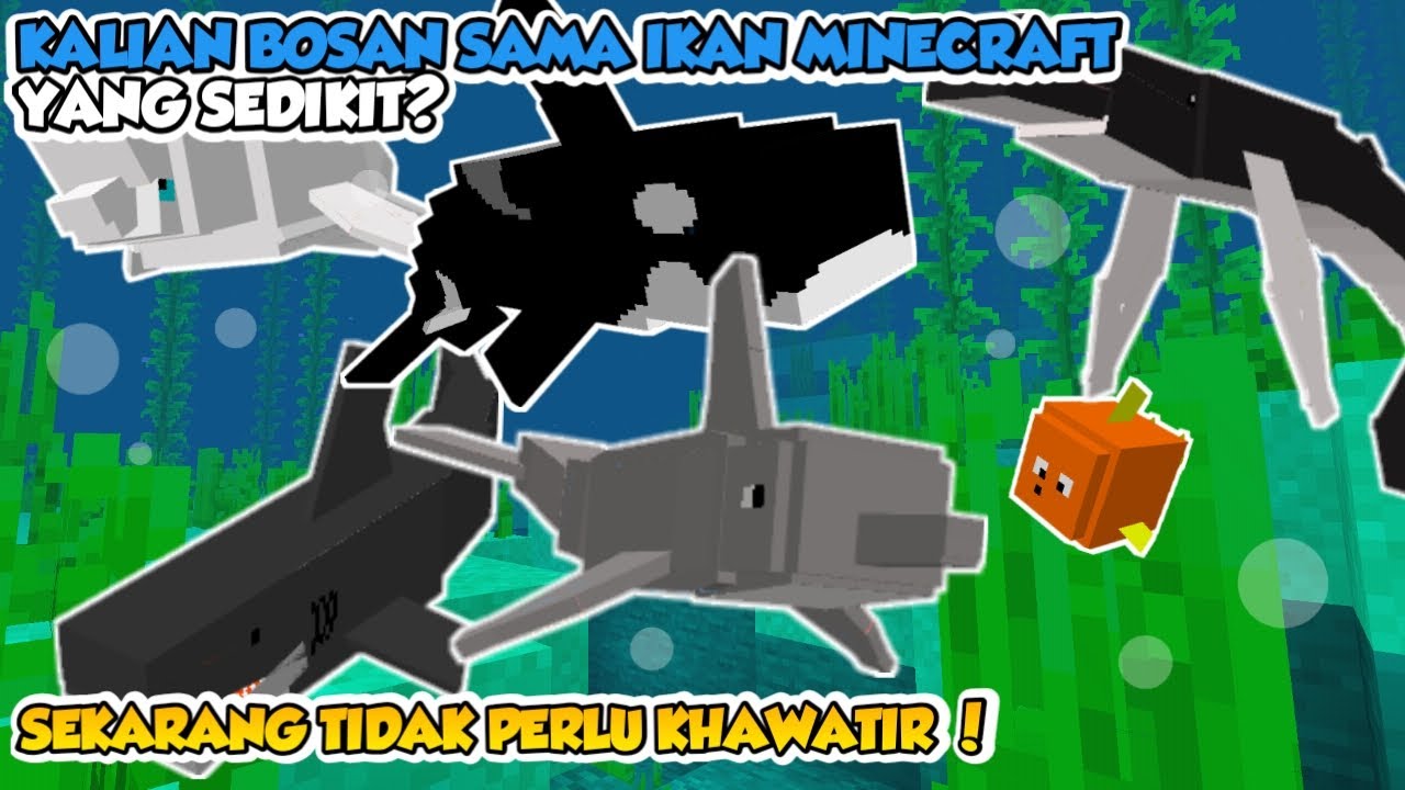 OCEAN EXPANSION ADDON | MINECRAFT POCKET EDITION ADDON - YouTube