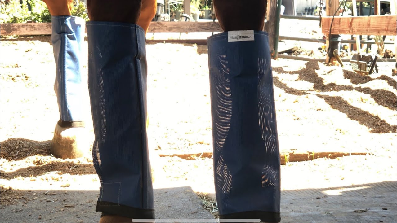 Review : Shoofly Leggins Fly Guards - YouTube