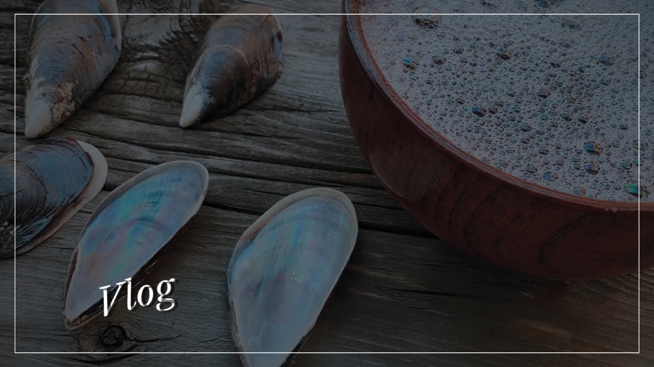 How I reused mussels shells🌈🐚 - YouTube