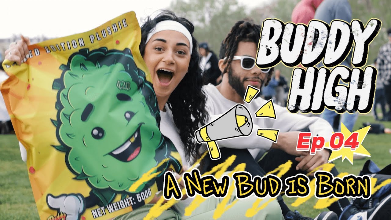 BUDDY HIGH: A New Bud Is Born - 420 Hyde Park - YouTube