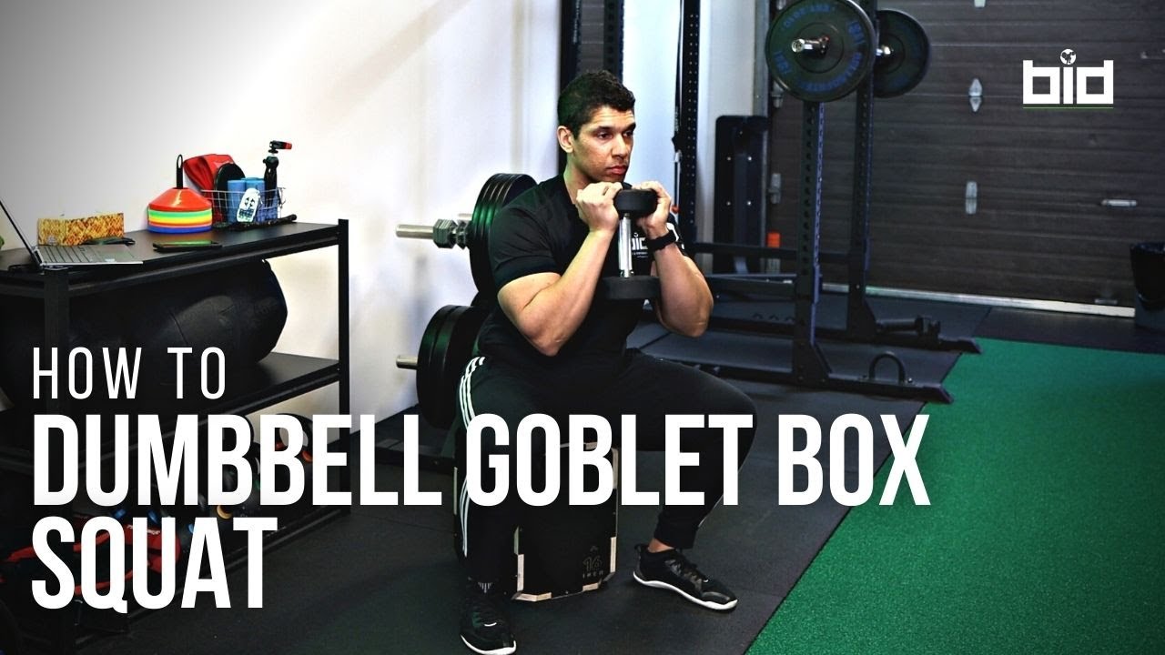 Dumbbell Goblet Box Squat - YouTube
