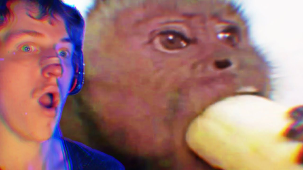THESE MEMES MADE ME CRY MY EYES OUT FR! - YouTube