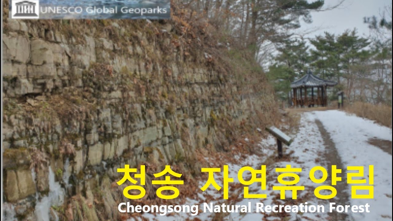 [청송 유네스코 세계지질공원] 청송 자연휴양림 [Cheongsong UNESCO World Geopark] Cheongsong ...