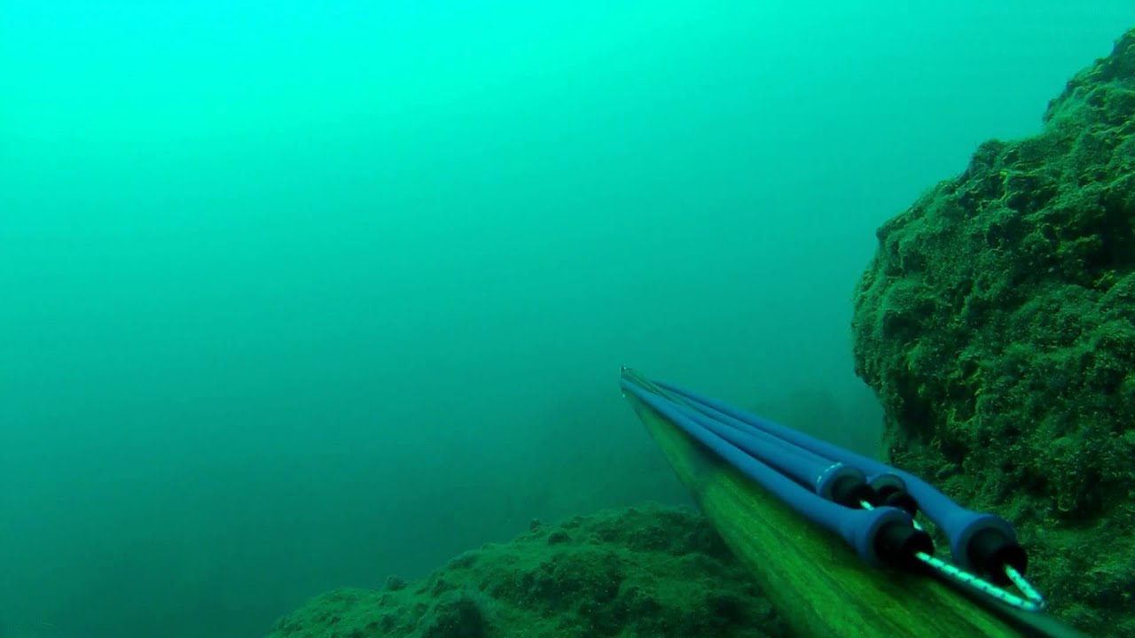 palamida's day (with slow motion) - YouTube