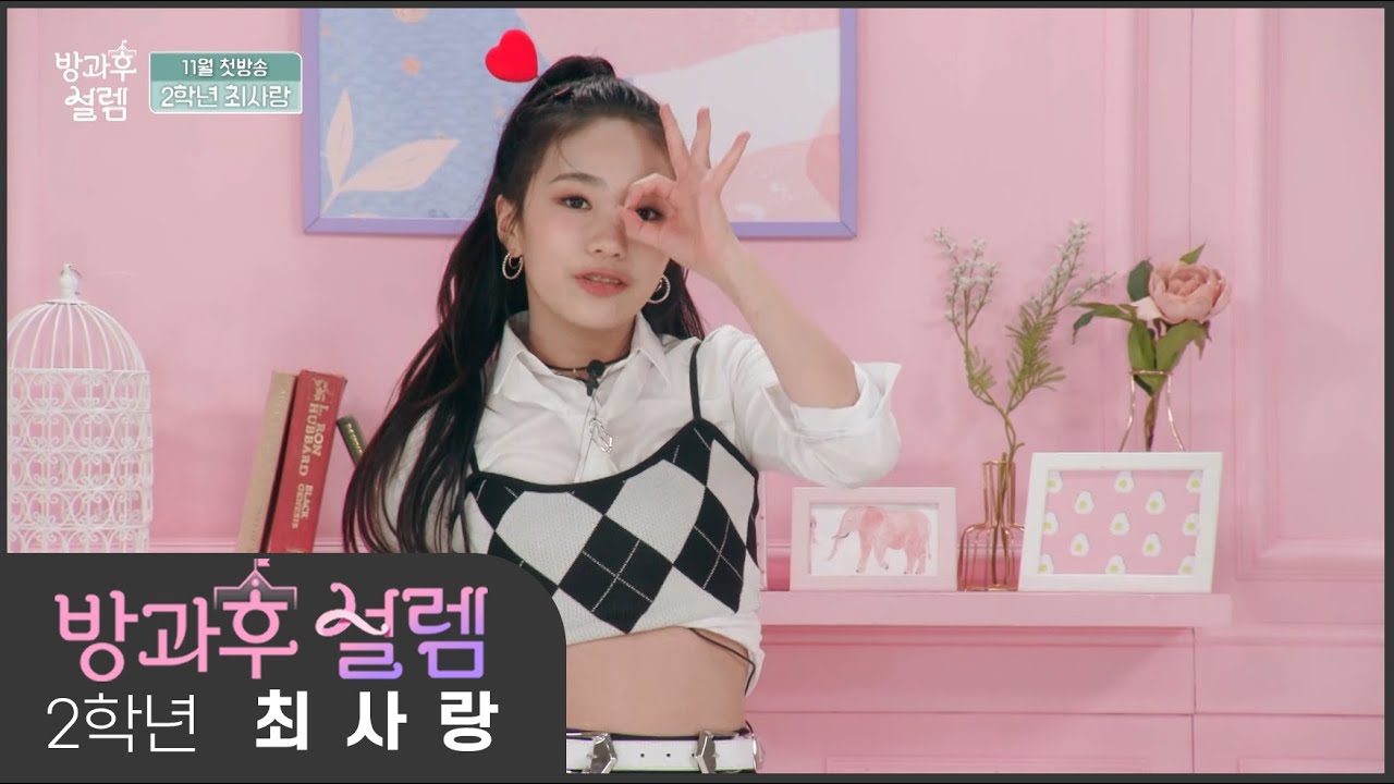 Choi Sarang(My Teen Age Girl)'s Profile, Popularity Ranking & Latest ...