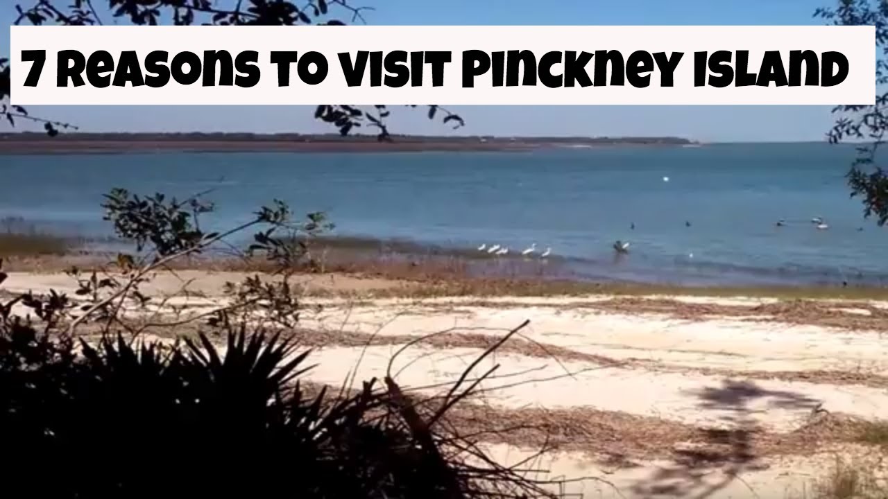 Pinckney Island National Wildlife Refuge- What to do at Hilton Head ...