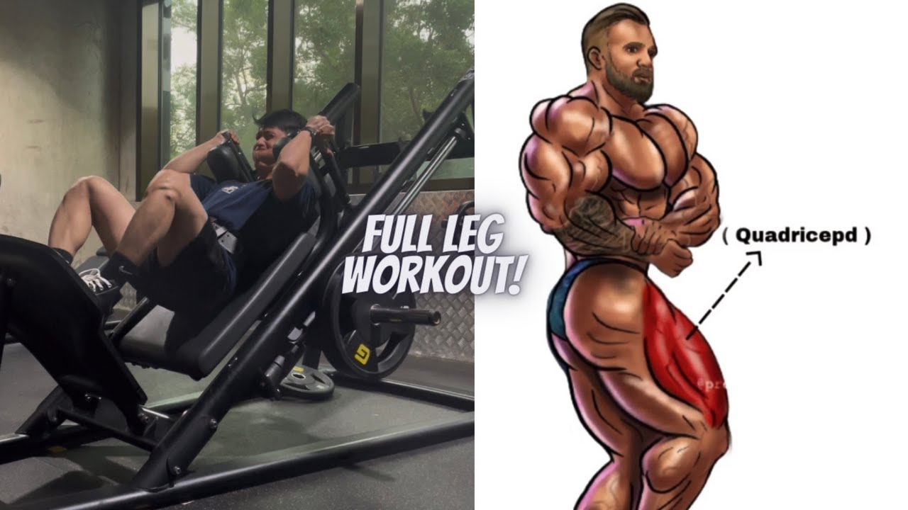 6 leg exercises for muscle grow | step by step - YouTube