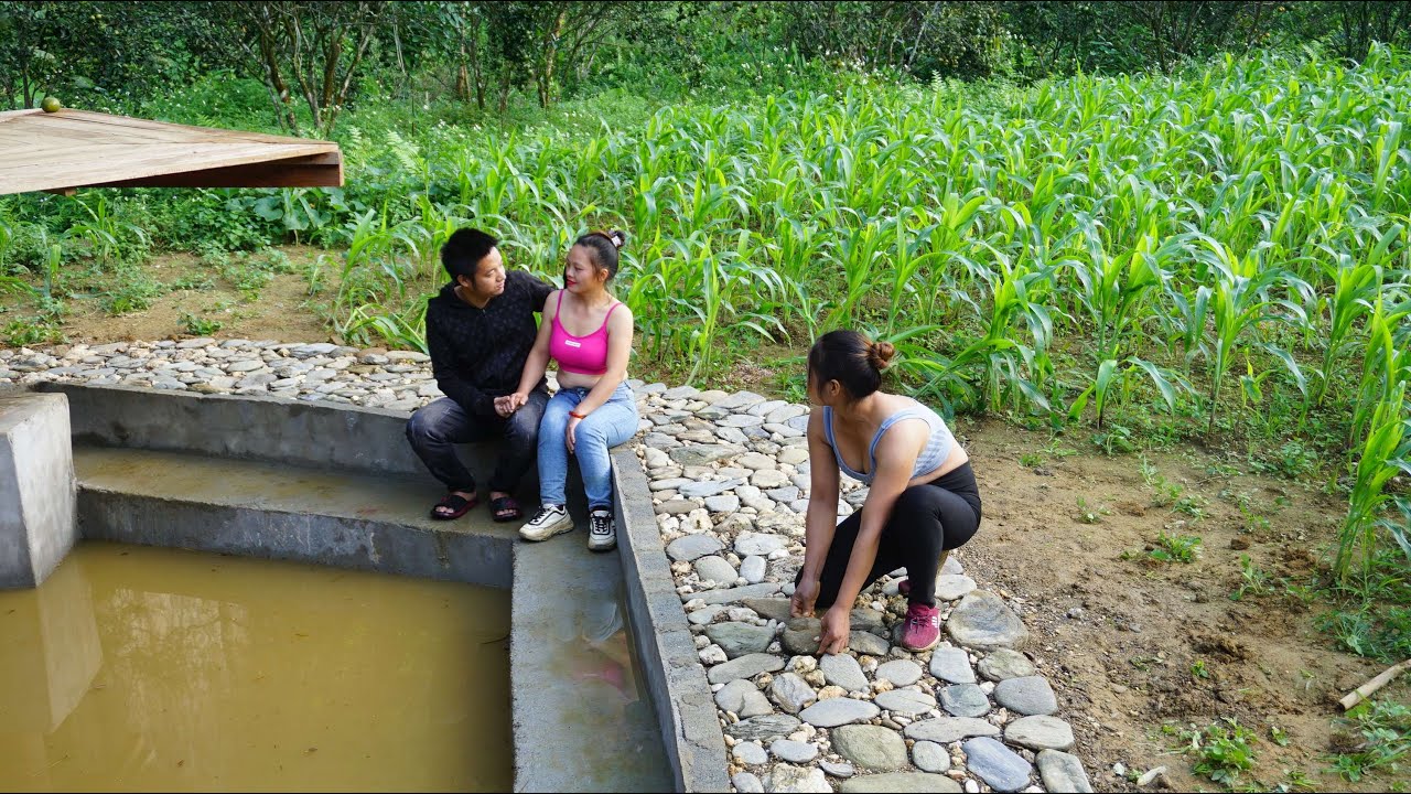 How to install a fish pond edge using stream stones, farewell to the ...