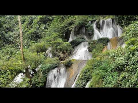 中国云南河口南溪花鱼洞The China Hekou South Stream National Park flower Yudong的副本