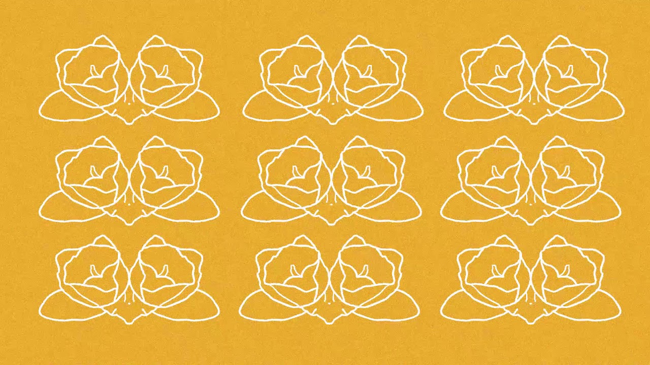 Sunbeam Sound Machine - Wandering, I (Music Video) - YouTube