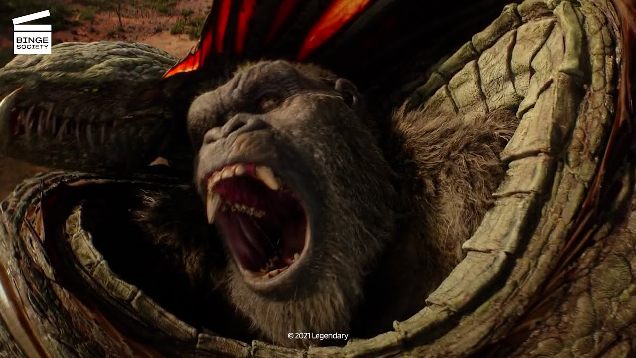 Godzilla vs Kong : Scène de Kong contre les Warbats (CLIP HD) - YouTube