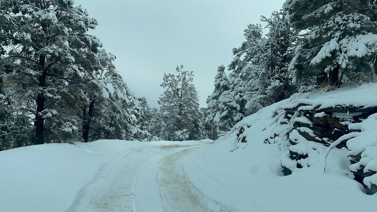 Snow Day trip through Burns Canyon. 1st trip of 2023. - YouTube