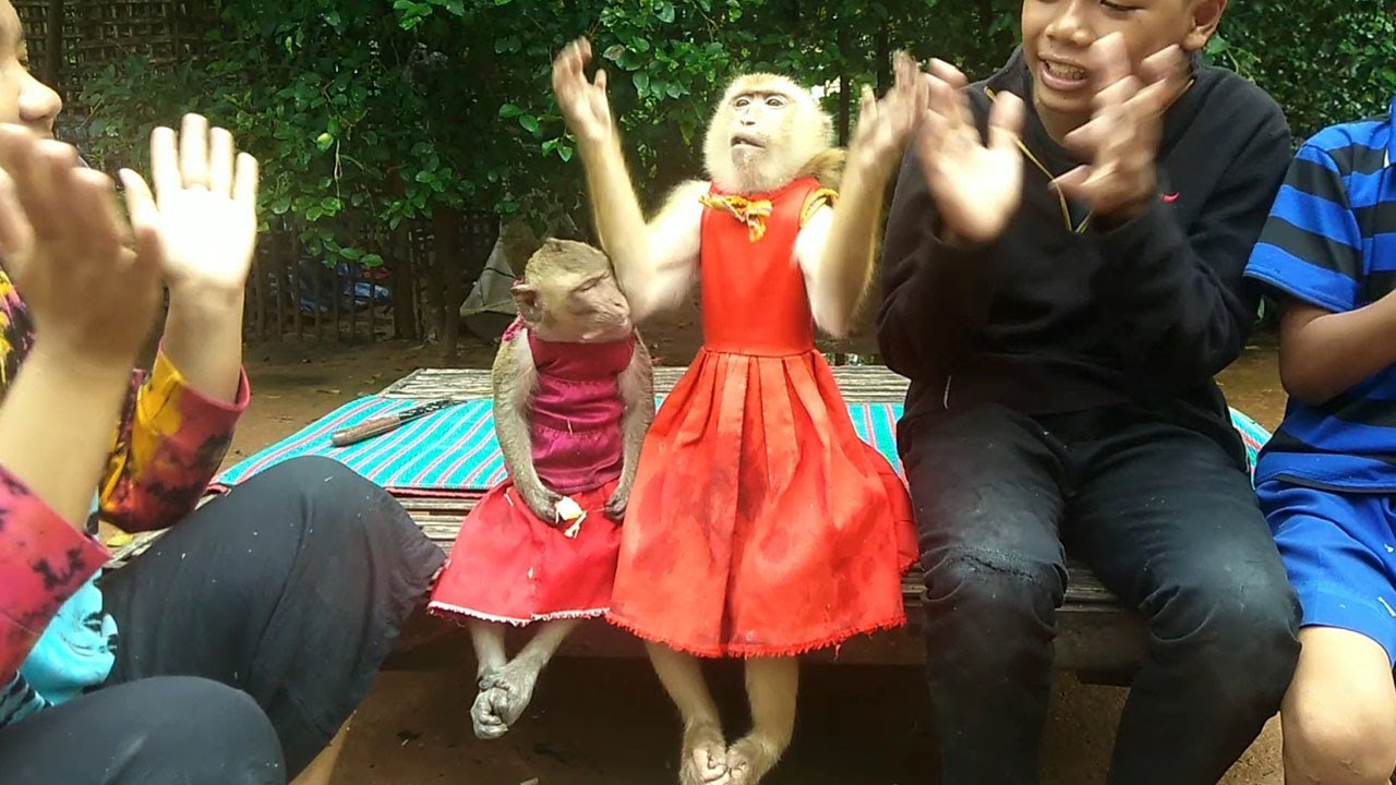 Happy YaYa In Sugarcane Song Clap Clap - YouTube