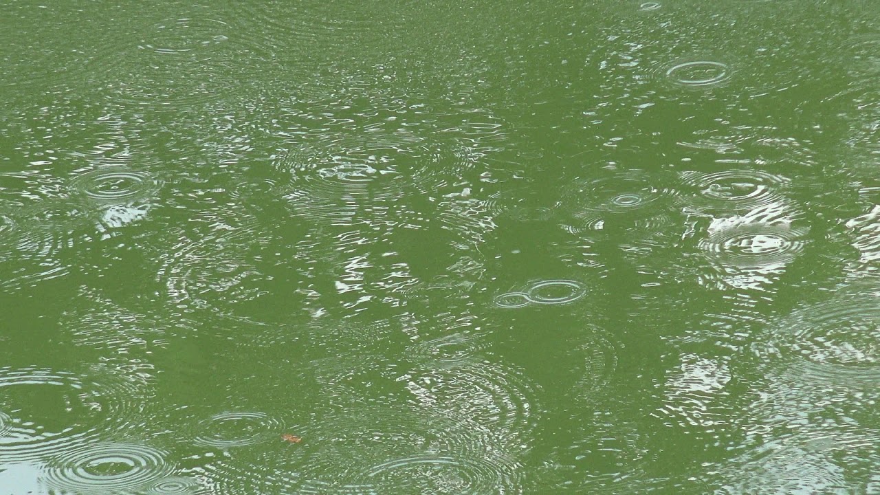 Relaxing sound of raindrops and birds singing. - YouTube