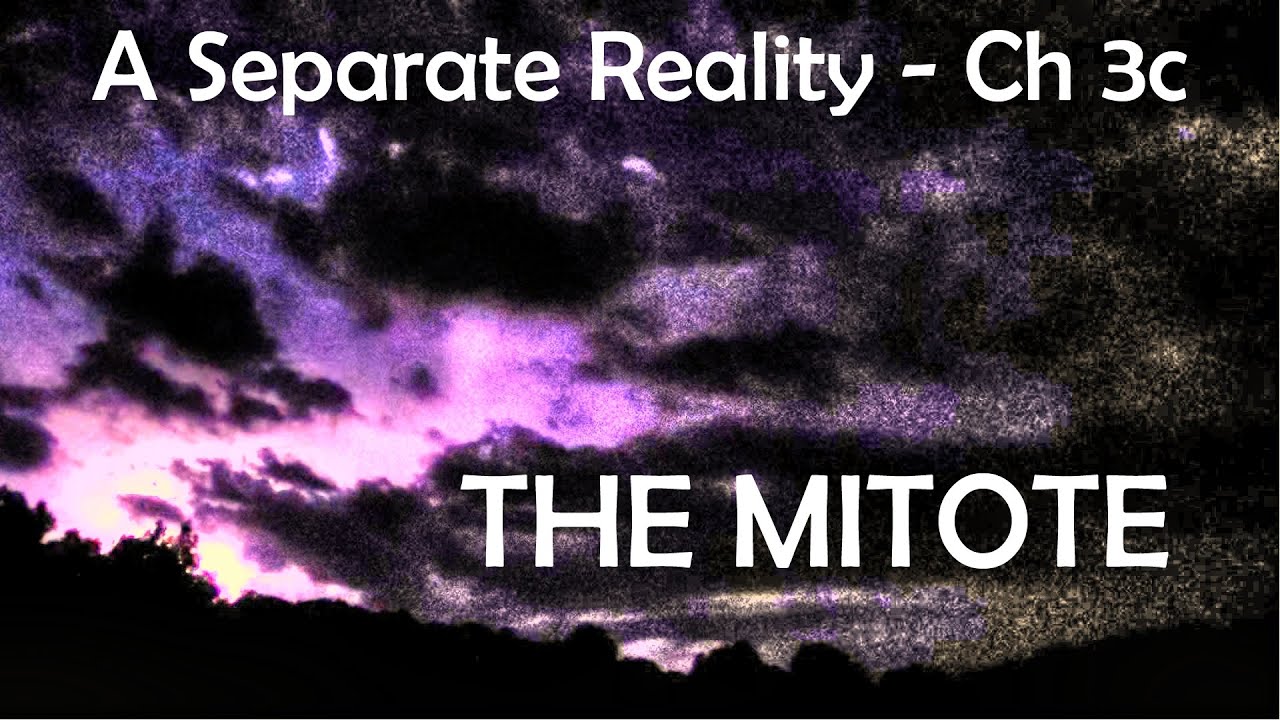 A Separate Reality - Ch 03c - Carlos Castaneda - The Mitote - YouTube