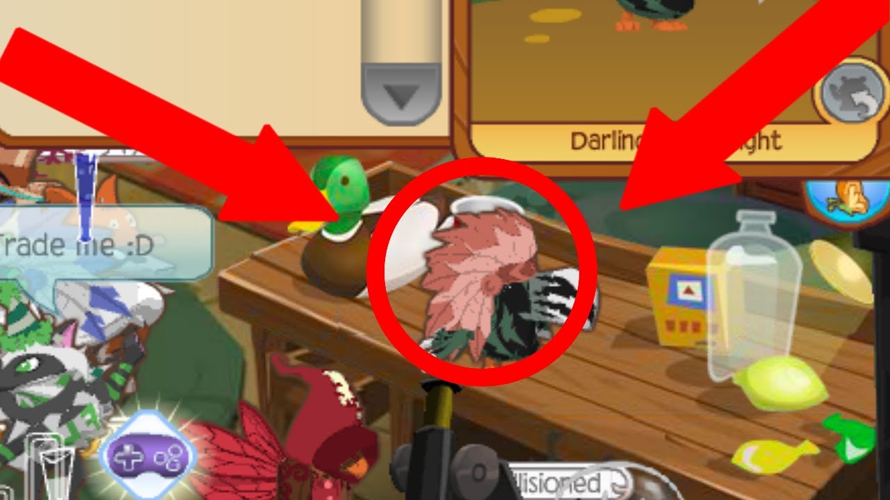 BRAND NEW HEADDRESS SPOTTED! | Animal Jam - YouTube