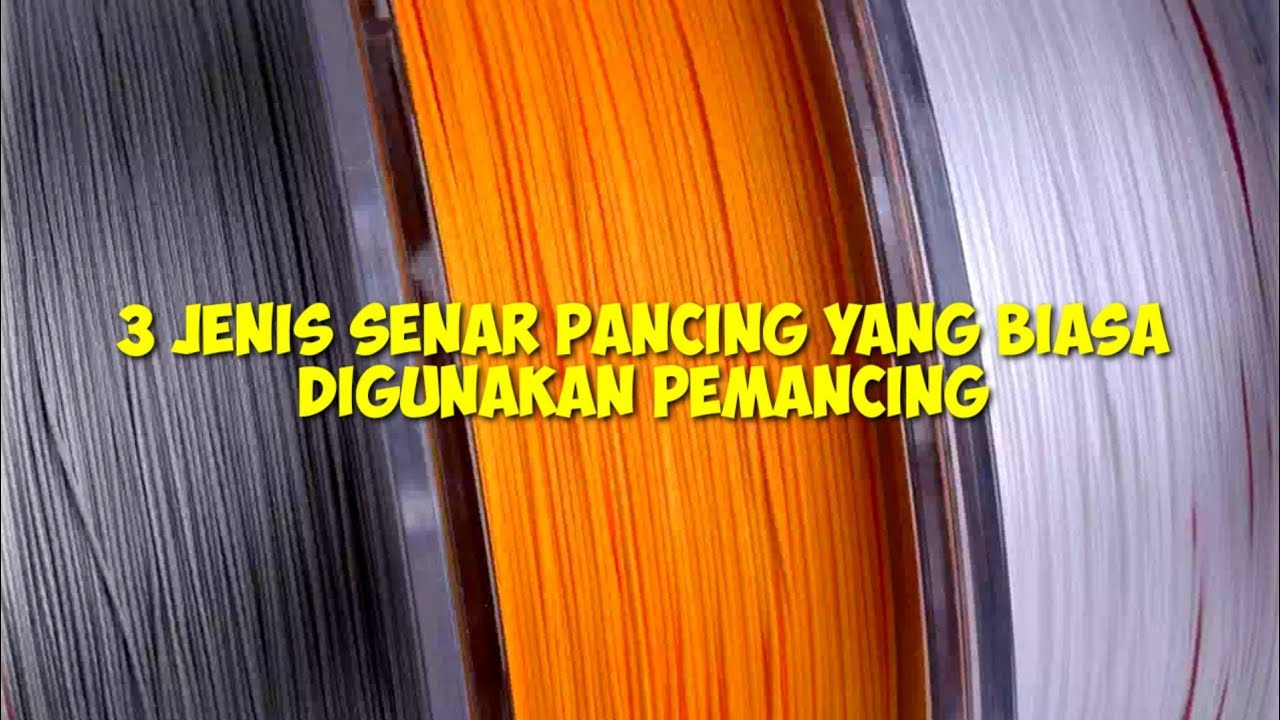 JENIS SENAR PANCING || YANG SERING DI PAKAI - YouTube