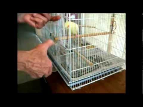 Loading The Tidy Seed No-Mess Bird Feeder
