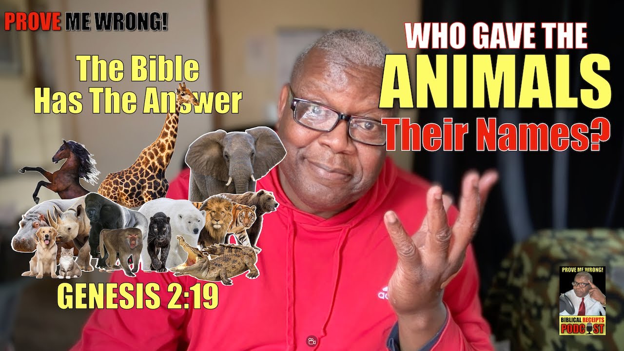 WHO NAMED THE ANIMALS #animals #animalsvideo #animalfacts # ...
