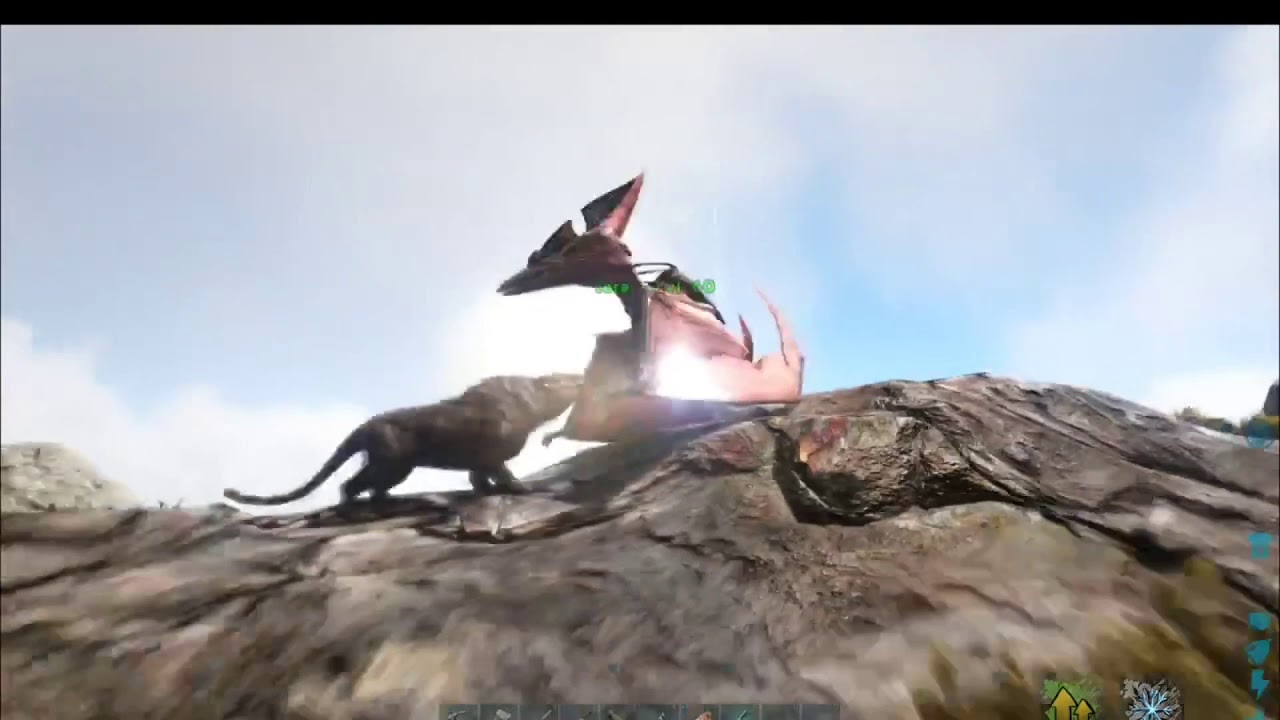 BIRD HUNTING - ark survival evolved boss challenge (ep 3) - YouTube